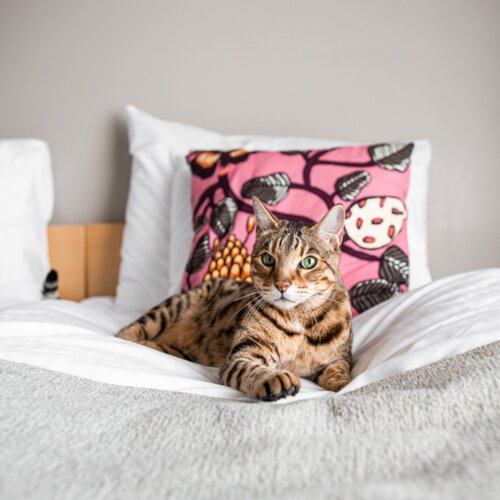 Homepage | Hotel Helka