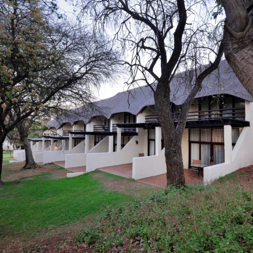 Gallery | Kwa Maritane Bush Lodge