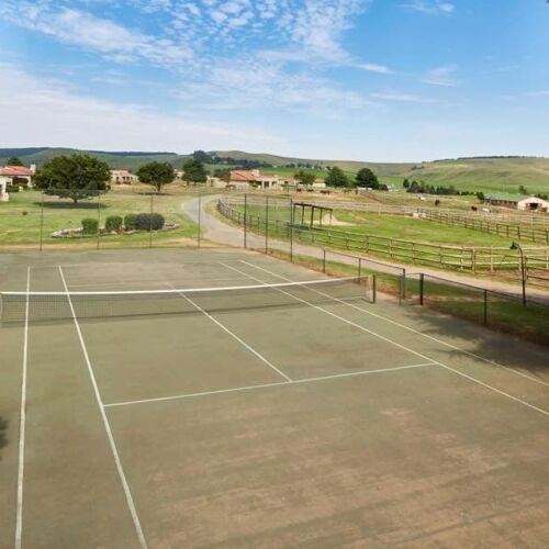 Gallery | Midlands Saddle & Trout