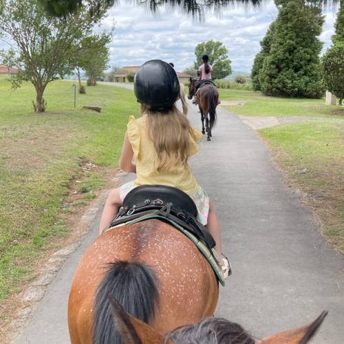 Gallery | Midlands Saddle & Trout