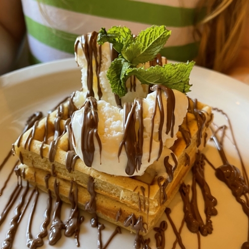 Gallery | Midlands Saddle & Trout