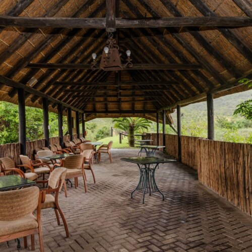 Gallery | Premier Resort Mpongo Private Game Reserve
