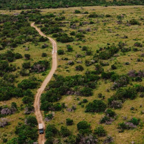 Gallery | Premier Resort Mpongo Private Game Reserve
