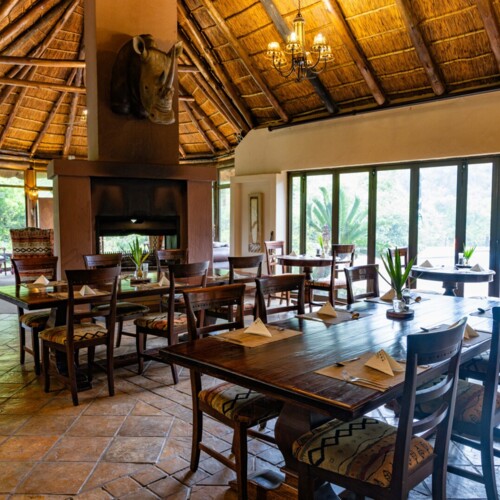 Gallery | Premier Resort Mpongo Private Game Reserve
